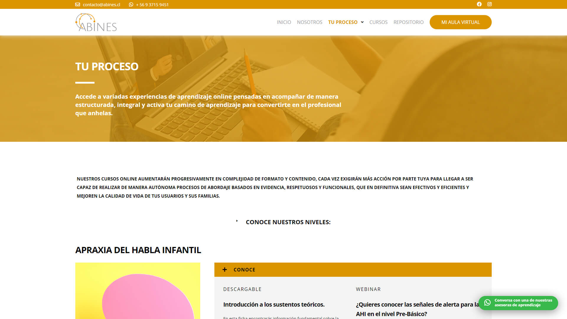 Diseño Web Abines | Avanza+ | Agencia de marketing y agencia de funnels ...